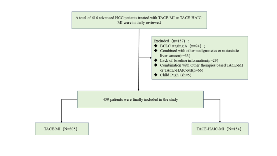 陈锦章教授团队：TACE联合靶免 vs. TACE+HAIC联合靶免疗效相当，AFP动态变化可预测生存获益